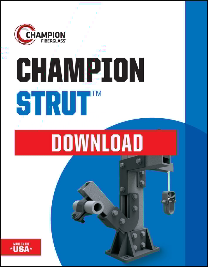 Learn how the Champion Strut™ system supports your project needs with ...