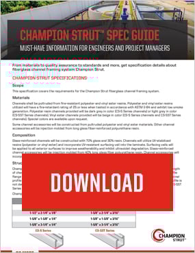Learn How Your Projects Can Benefit from Using Champion Strut™